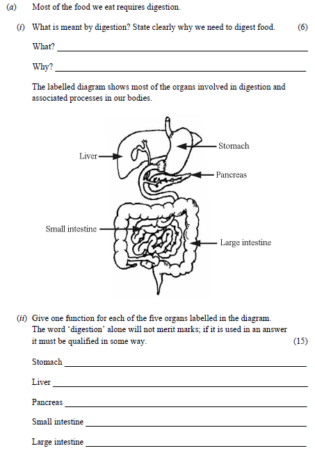 Junior Cycle Science The Digestive System: Most of the food we eat requires