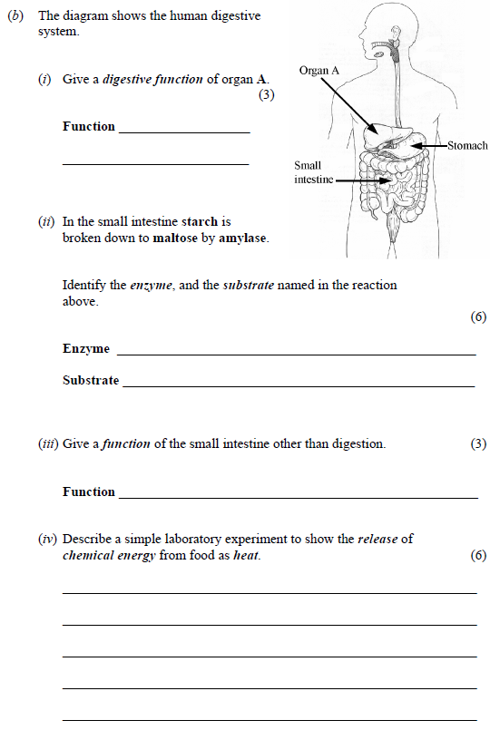 Junior Cycle Science The Digestive System: The diagram shows the human dige
