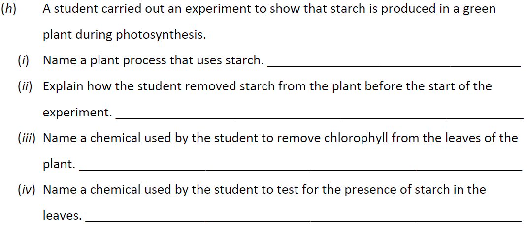 Junior Cycle Science Photosynthesis: A student carried out an experim