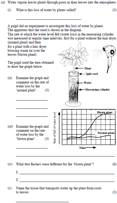 Junior Cycle Science Photosynthesis: Water vapour leaves plants throu