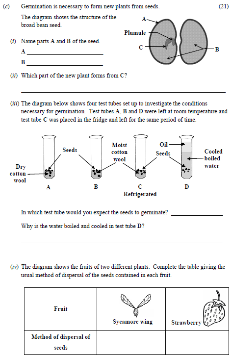 Junior Cycle Science Plant Reproduction: Germination is necessary to form