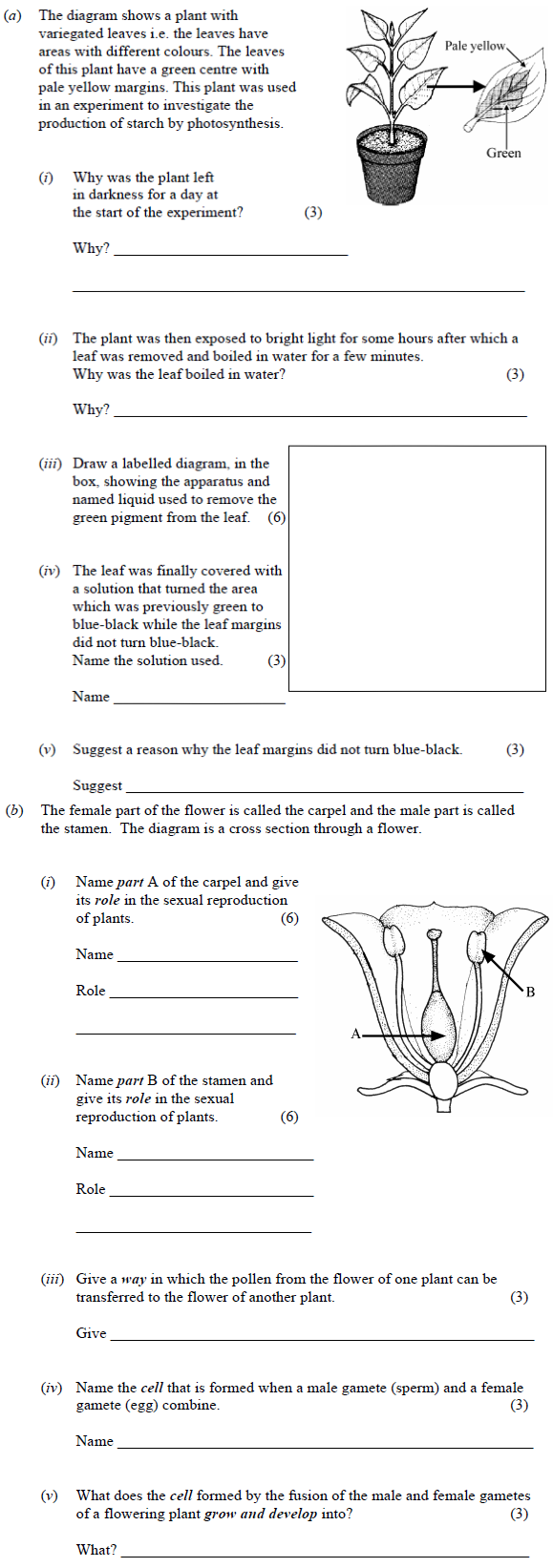 Junior Cycle Science Plant Reproduction: The diagram shows a plant with v