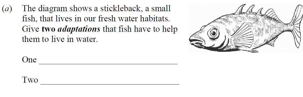 Junior Cycle Science Genetics: the diagram shows a stickleback, a small