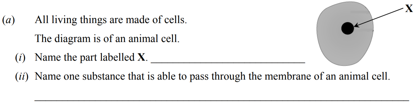 Junior Cycle Science The Cell: All living things are made of ce