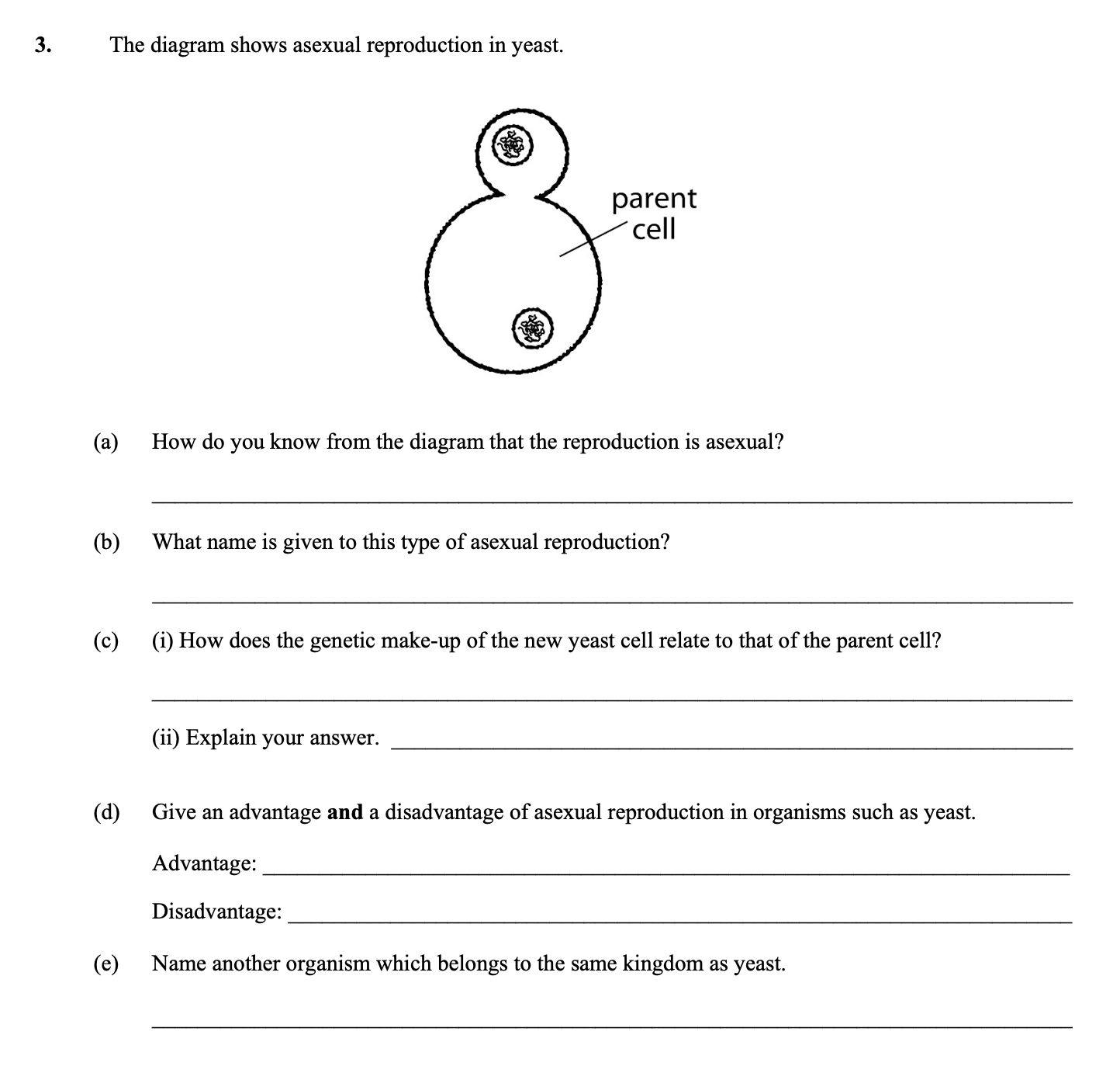 Leaving Cert Biology Bacteria, Viruses & Fungi: The diagram shows ...