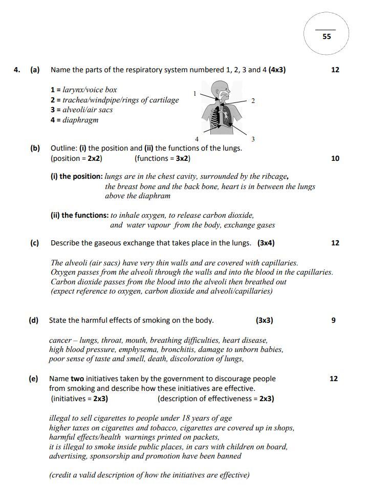 Junior Cycle Home Economics The Human Body: 4. (a) Name the parts of ...