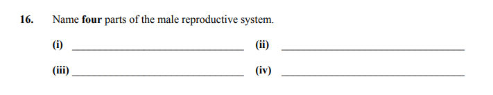 Junior Cycle Home Economics Human Reproduction: Name four parts of the ...