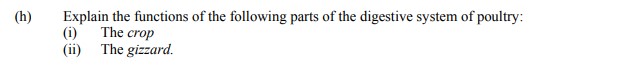 Leaving Cert Agricultural Science Animal Physiology: Explain the ...
