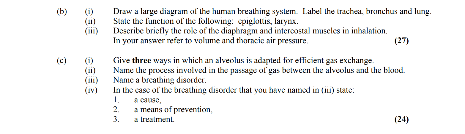 Leaving Cert Biology Breathing System: Draw a large diagram of the huma