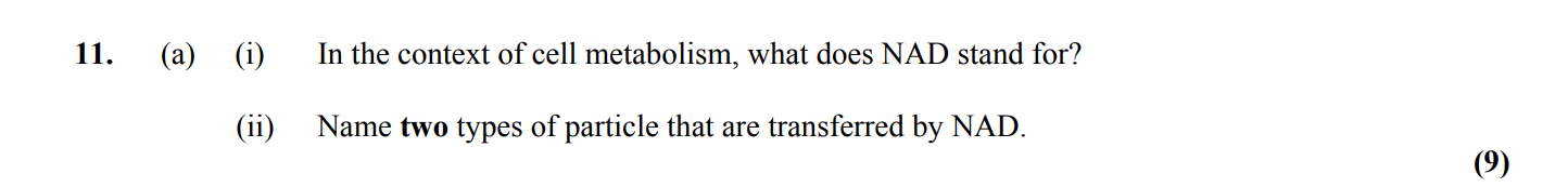Leaving Cert Biology Cell Metabolism & Enzymes: In the context of cell ...