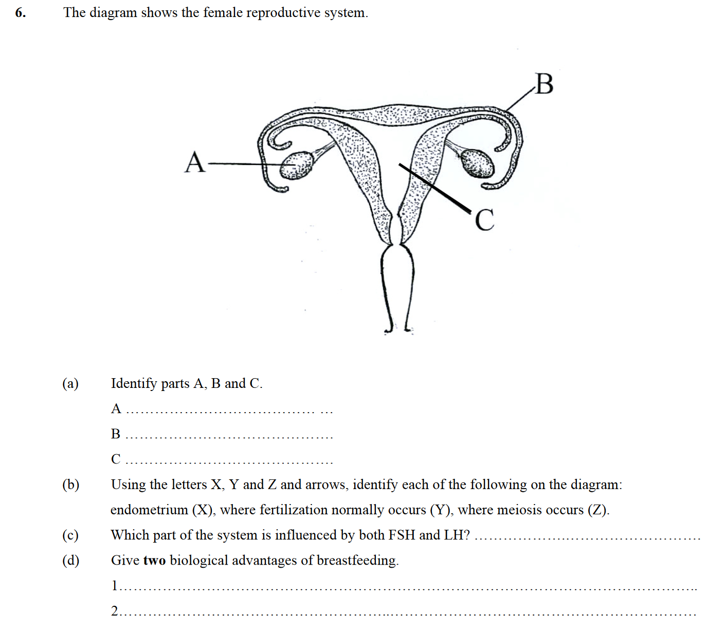 Leaving Cert Biology Human Reproduction: The diagram shows the female rep