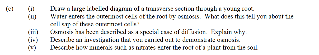 Leaving Cert Biology Plant Structure: Draw a large labelled diagram of