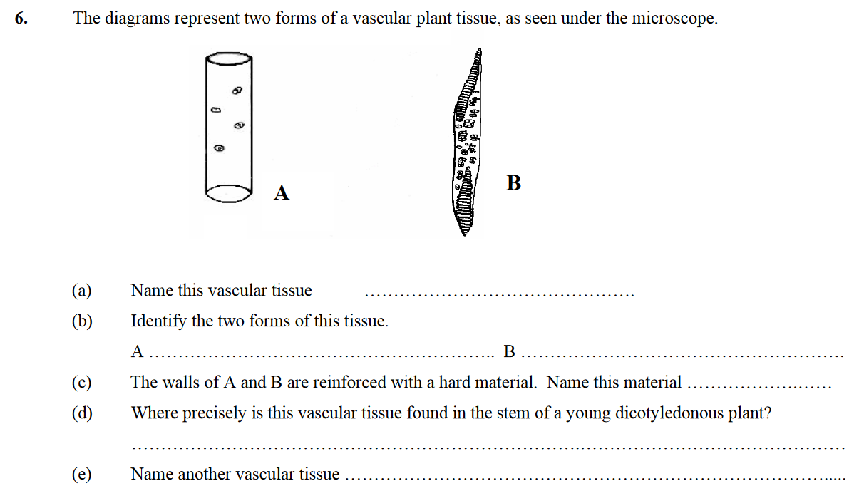Leaving Cert Biology Plant Structure: The diagrams represent two forms