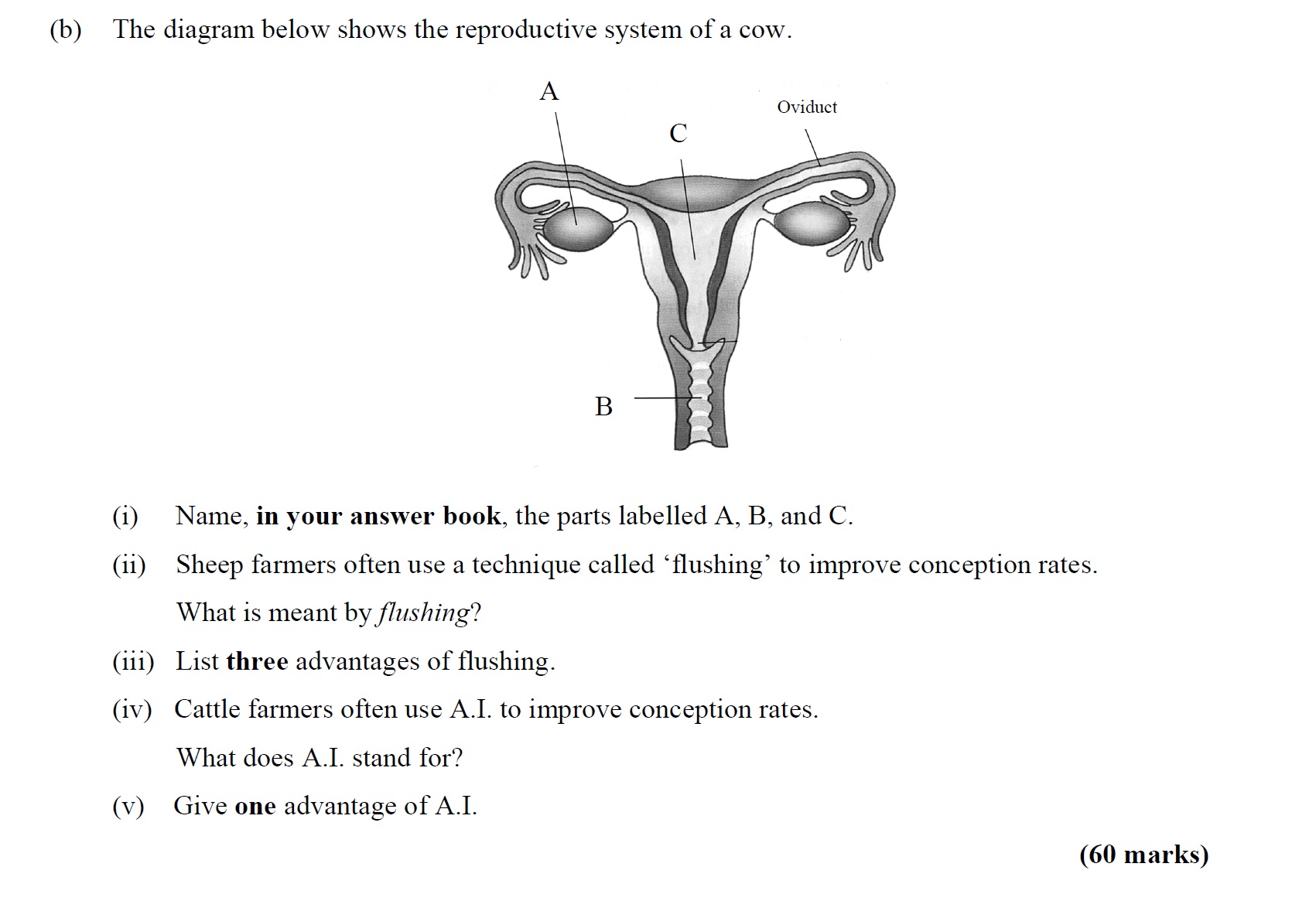 Leaving Cert Agricultural Science Animal Physiology: The diagram below ...