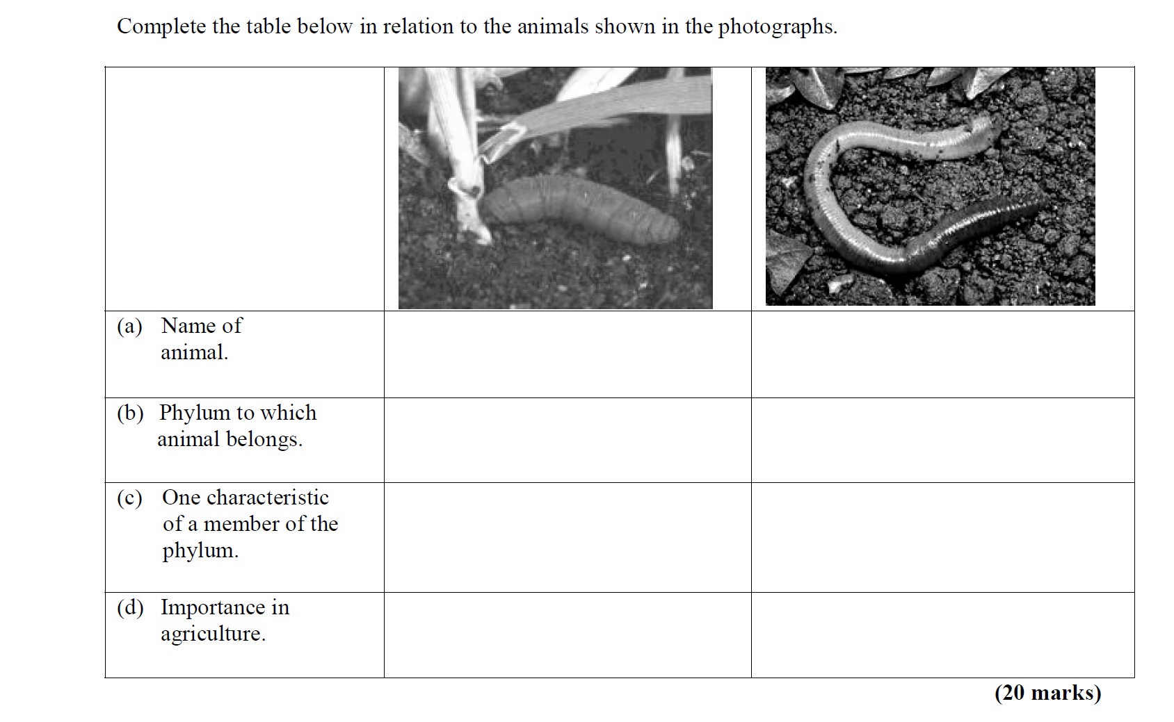 Leaving Cert Agricultural Science Classification of Organisms: Complete ...