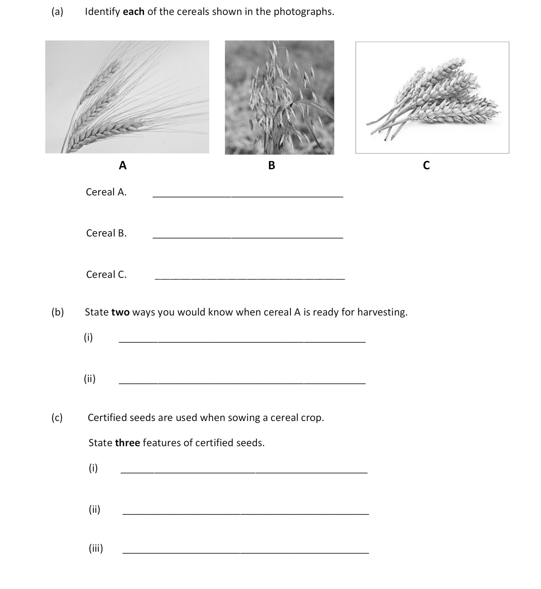 Leaving Cert Agricultural Science Crop Production: Identify each of the ...