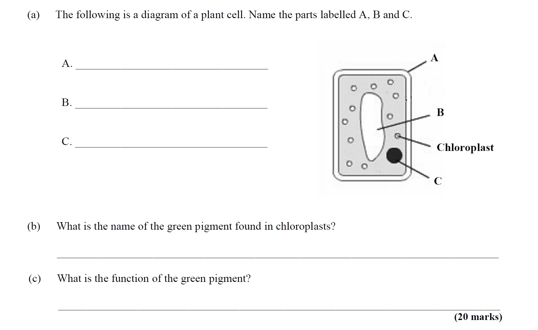 Leaving Cert Agricultural Science Plant Physiology: The following is a ...