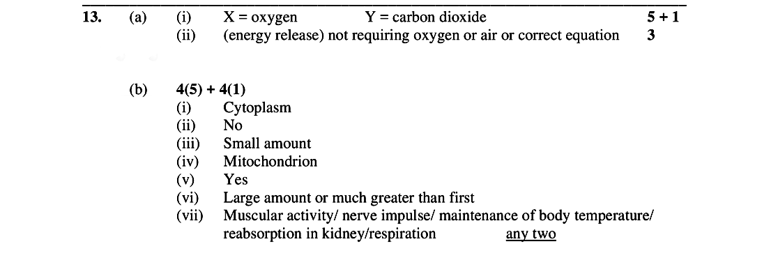 Leaving Cert Biology Biochemical Reactions & Enzymes: X = oxygen Y ...