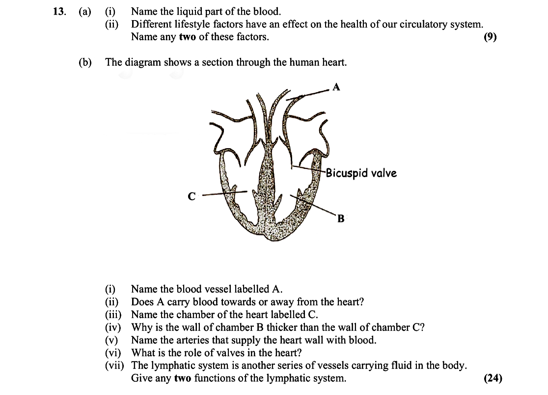 Leaving Cert Biology Blood & Circulatory System: 13. (a) (i) Name the ...