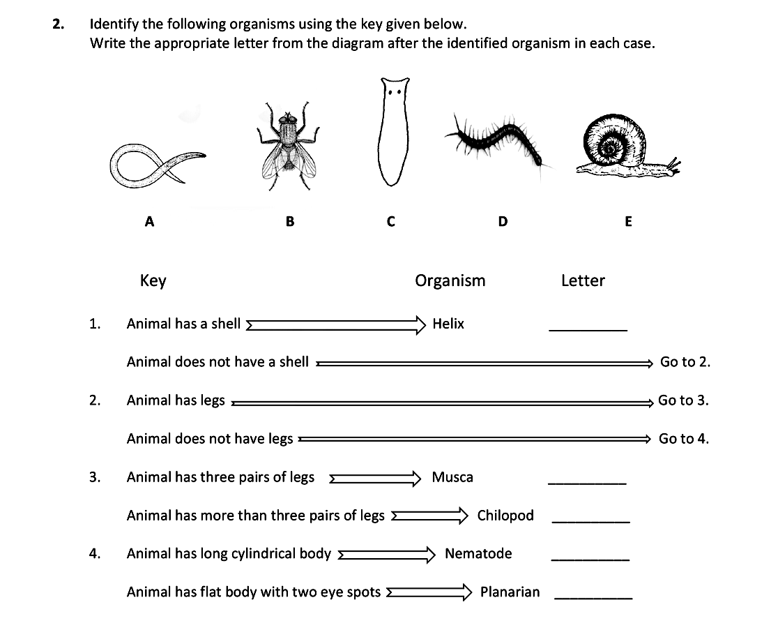 Leaving Cert Biology Ecology & Ecosystems: Identify the following organisms