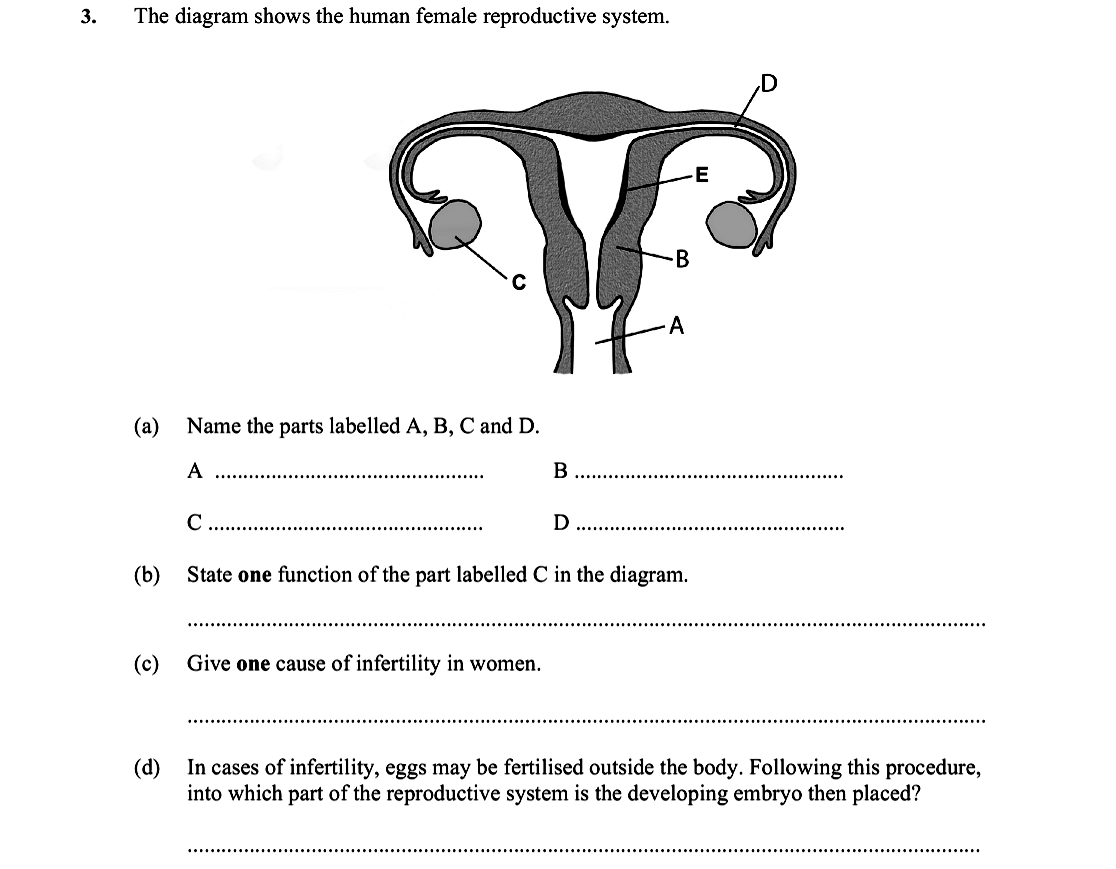 Leaving Cert Biology Human Reproduction: The diagram shows the human fema