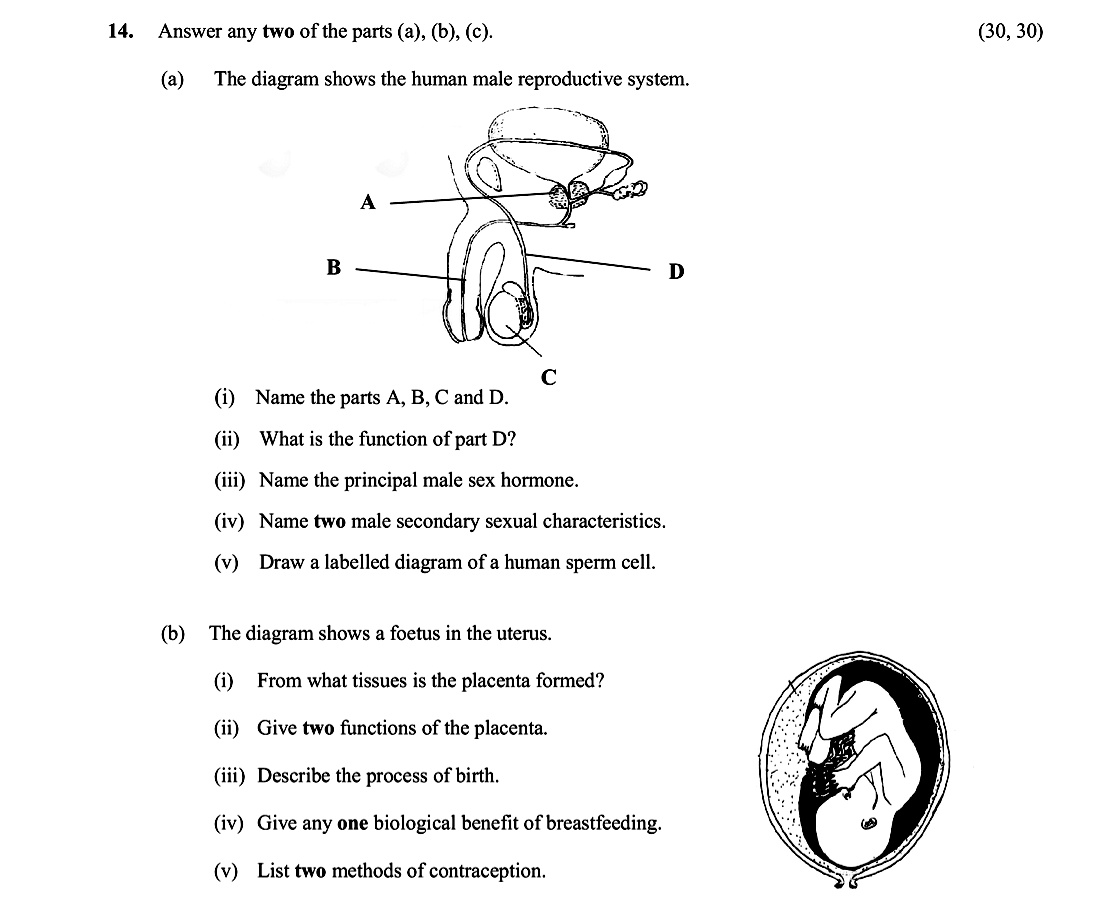 Leaving Cert Biology Human Reproduction: Answer any two of the parts (a),