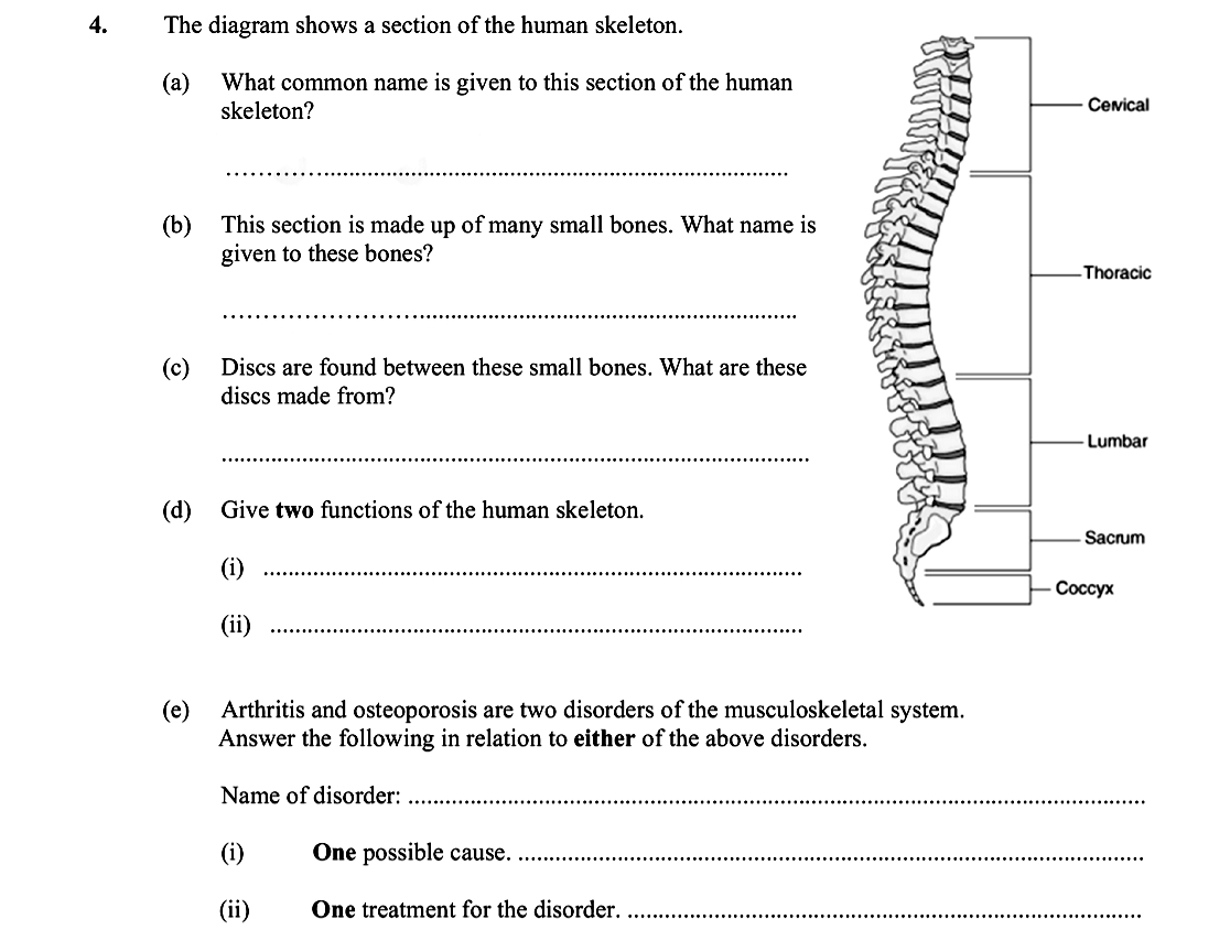 Leaving Cert Biology Musculoskeletal System: The diagram shows a ...