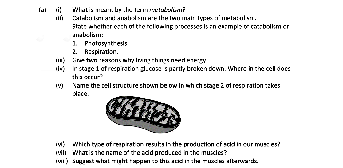 Leaving Cert Biology Photosynthesis: i) What is meant by the term met