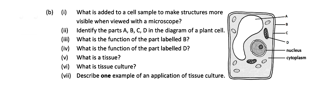 Leaving Cert Biology Plant Structure: What is added to a cell sample t