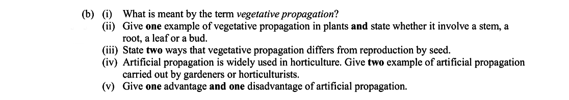 Leaving Cert Biology Plant Structure: What is meant by the term vegeta