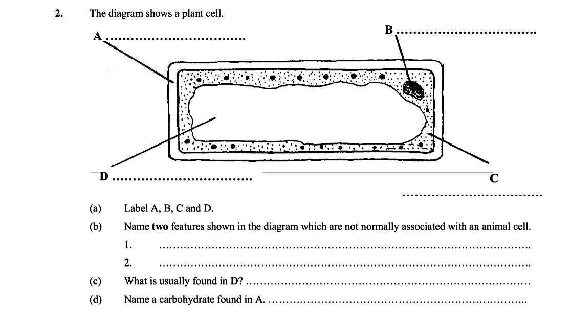 Leaving Cert Biology Plant Structure: The diagram shows a plant cell.