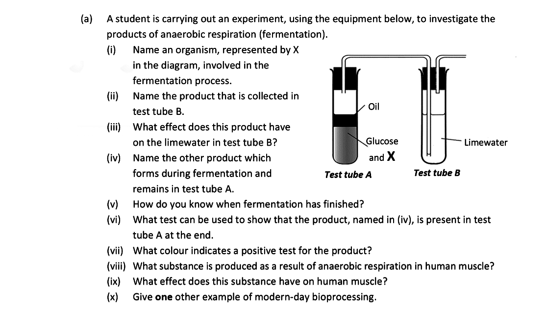 Leaving Cert Biology Respiration: A student is carrying out an exp