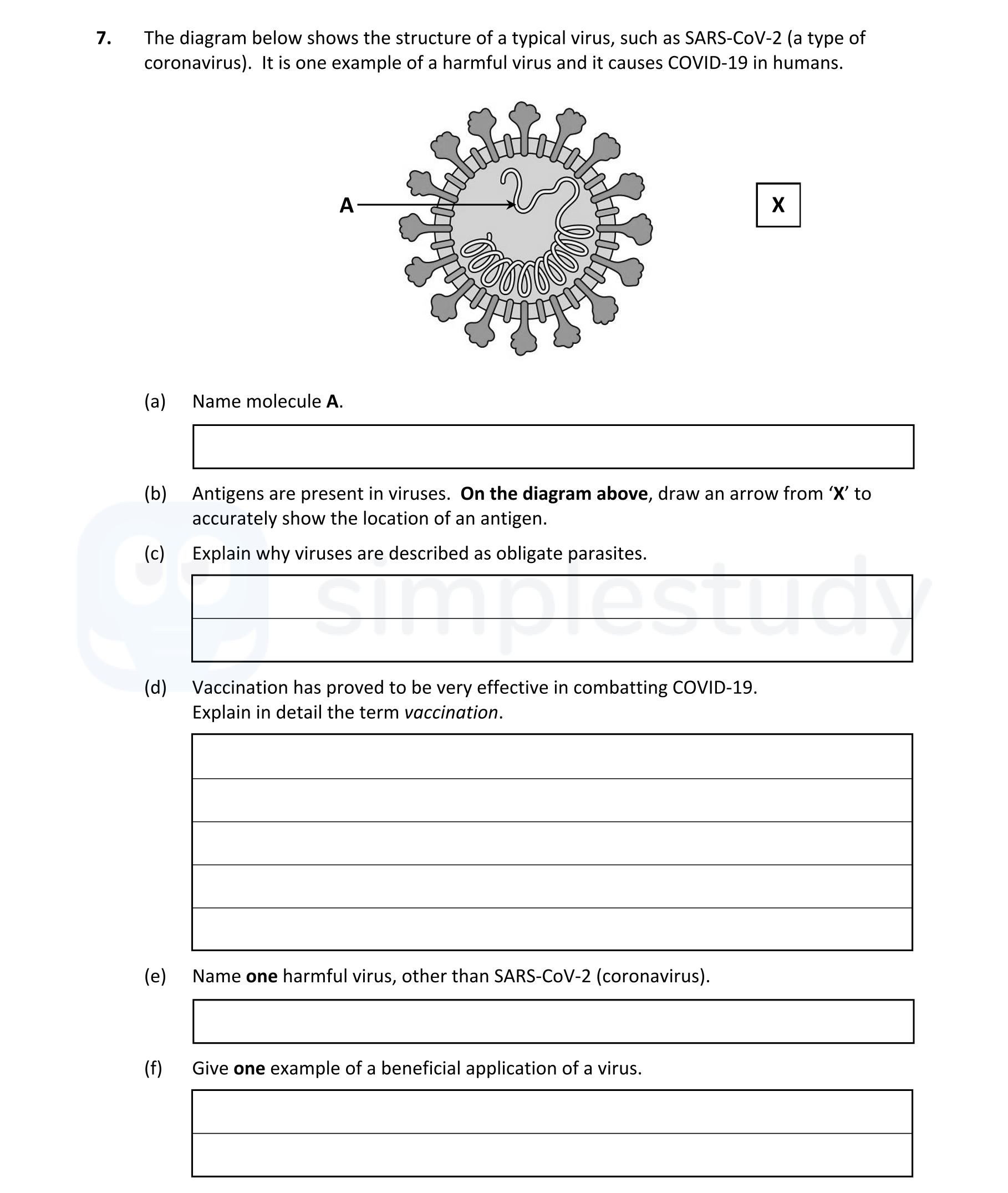 Leaving Cert Biology Bacteria, Viruses & Fungi: The diagram below shows ...