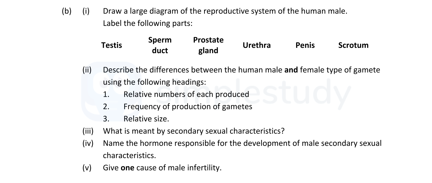 Leaving Cert Biology Human Reproduction: Draw a large diagram of the repr