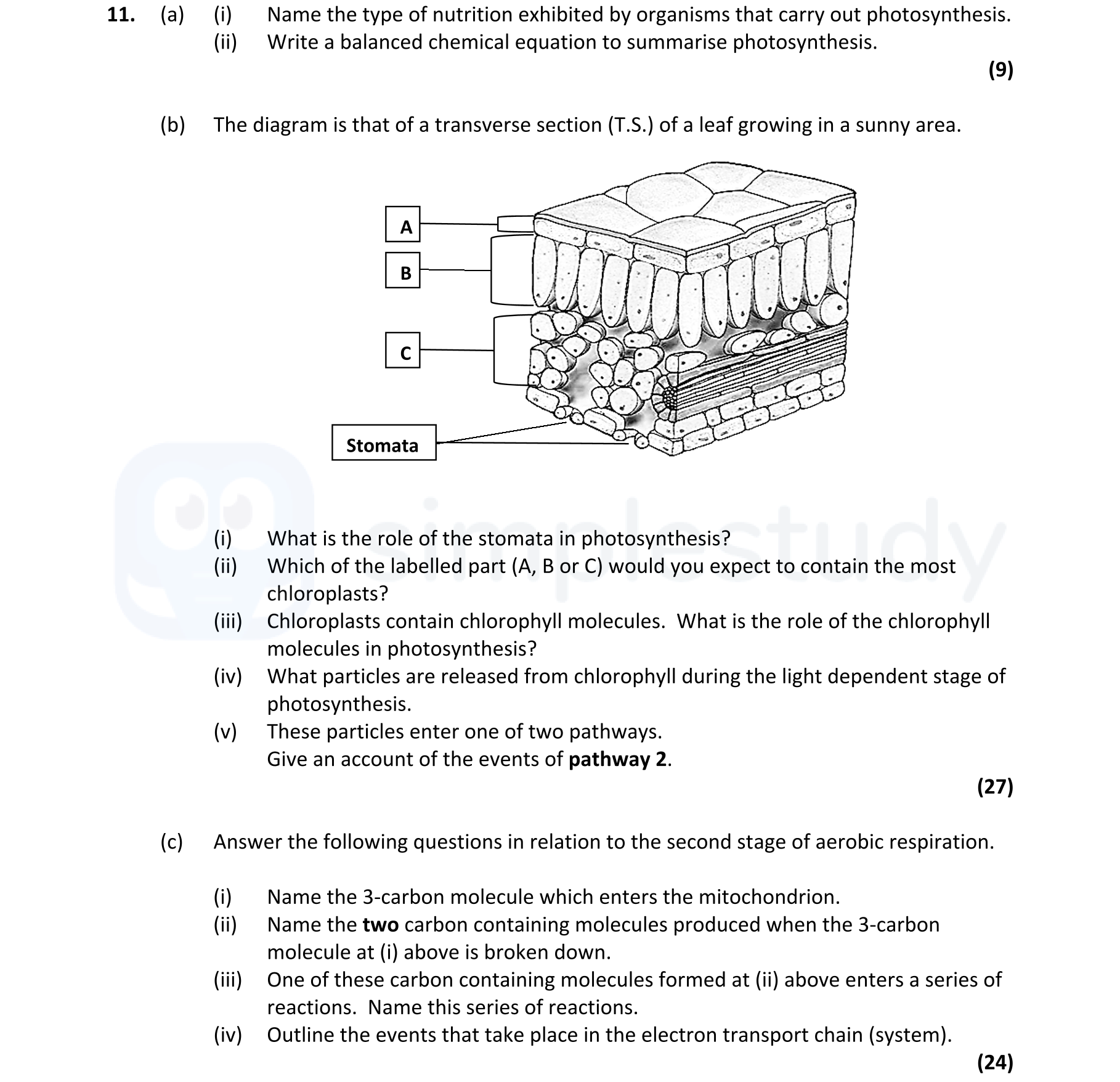 Leaving Cert Biology Respiration: 11. (a) (i) Name the type of n