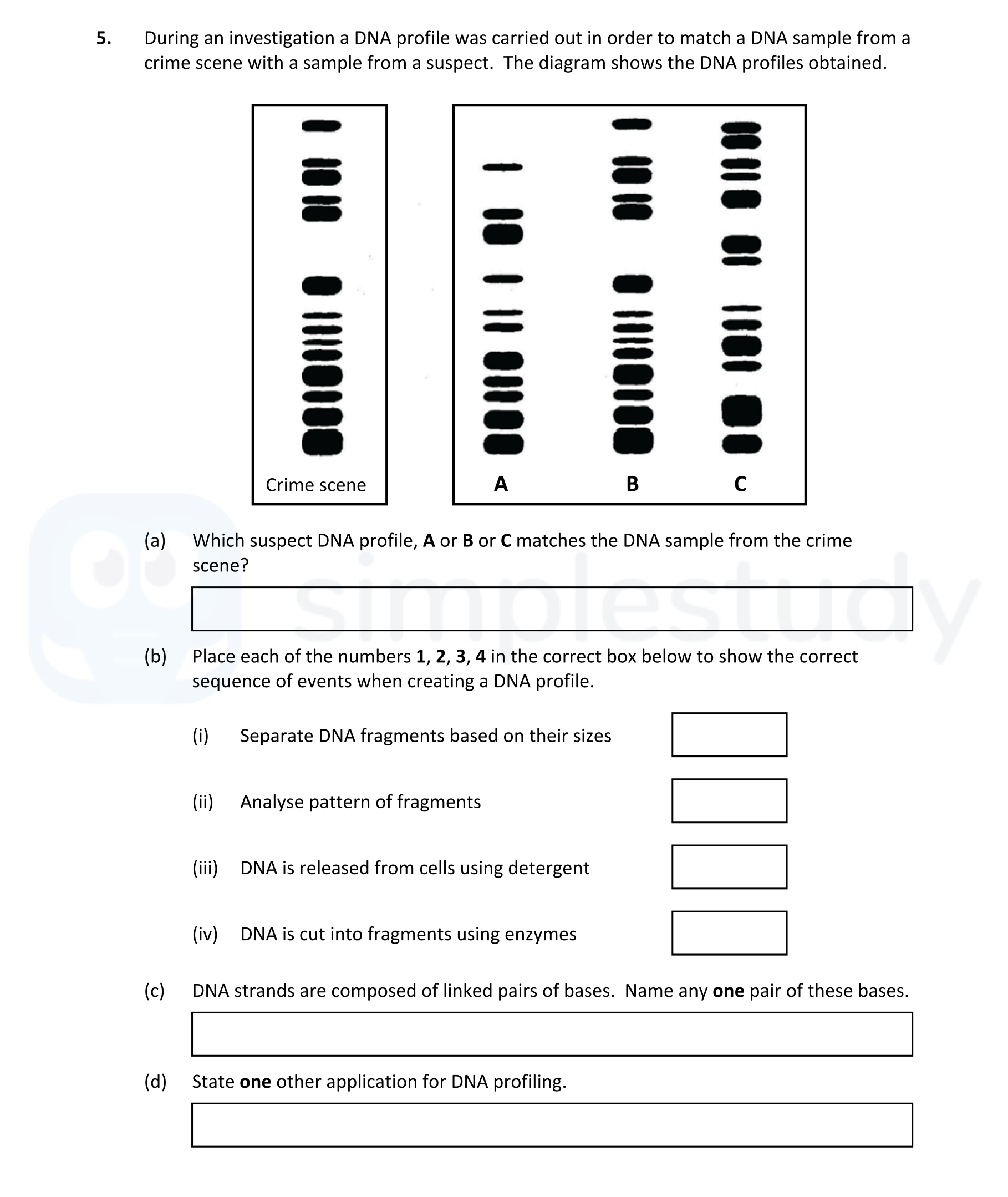 Leaving Cert Biology Genetics, DNA & Evolution: During an investigation ...