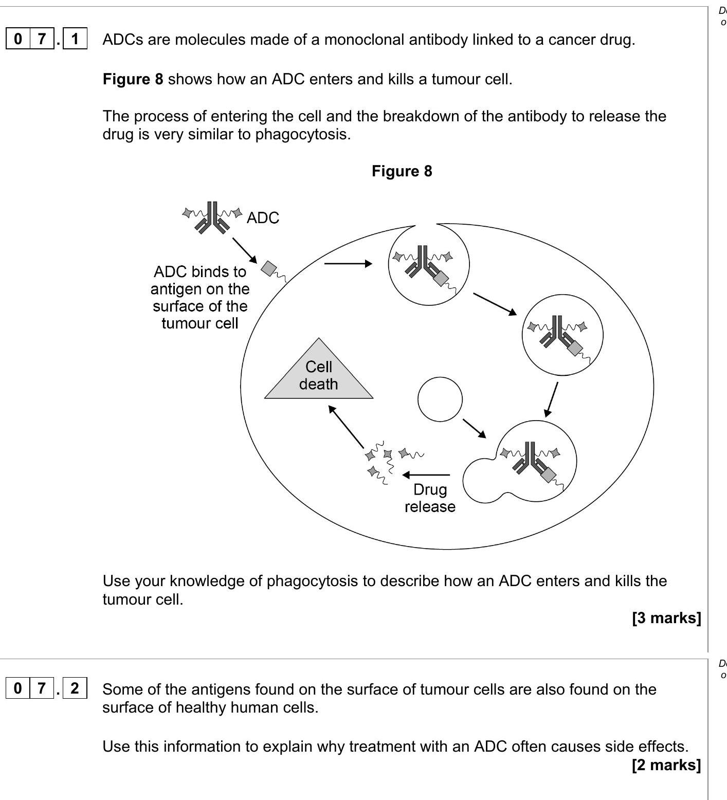 A-Level AQA Biology Vaccines, Disease & Monoclonal Antibodies: ADCs are ...