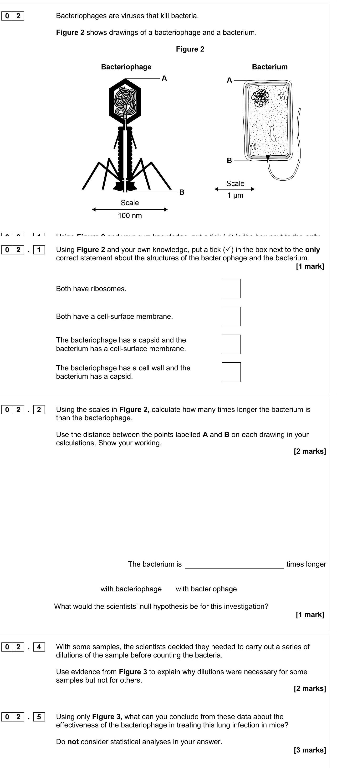 A-Level AQA Biology Cell Structure: Bacteriophages are viruses that