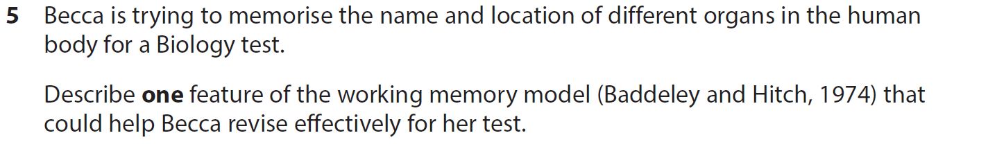 A-Level AQA Psychology Working Memory Model: Becca is trying to ...