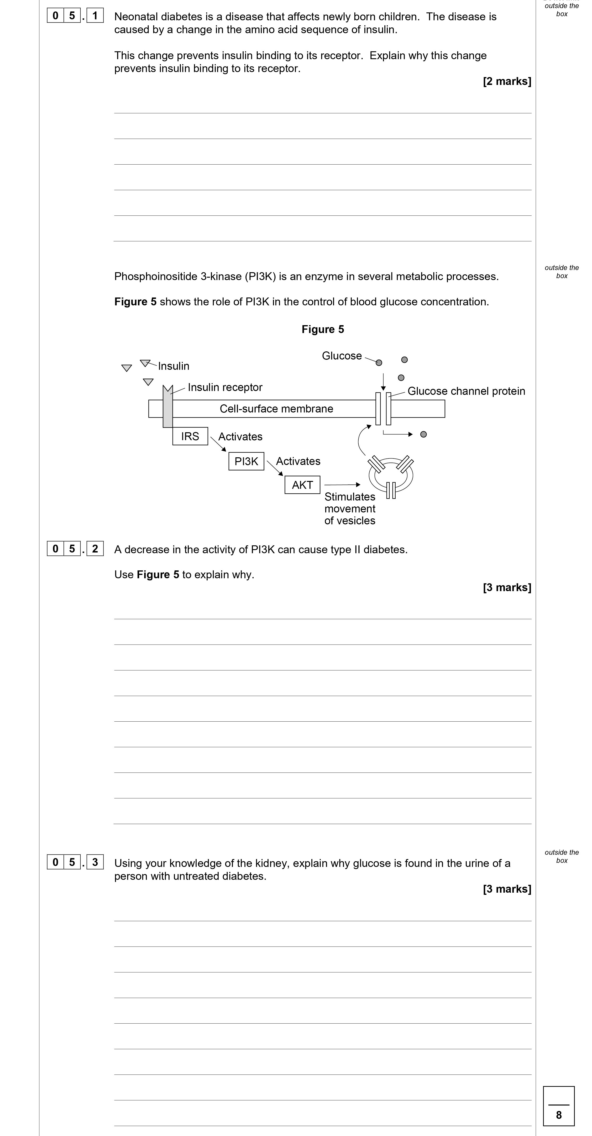 A-Level AQA Biology Biological Molecules: Carbohydrates: Neonatal ...