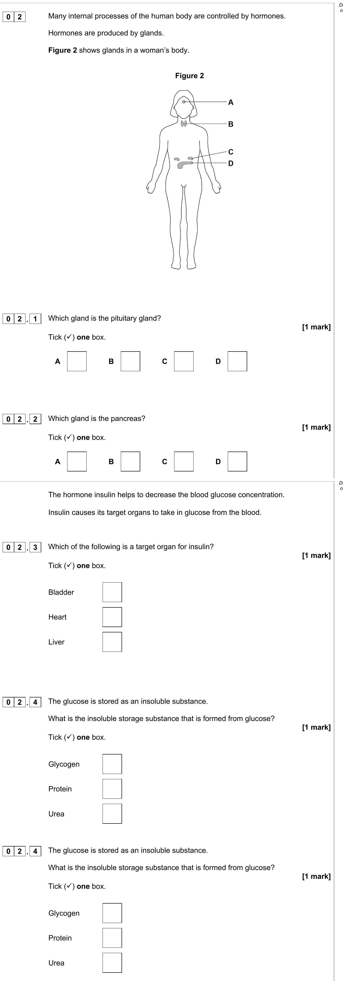 GCSE AQA Biology Hormones: Maintaining Blood Homeostasis: Many internal ...