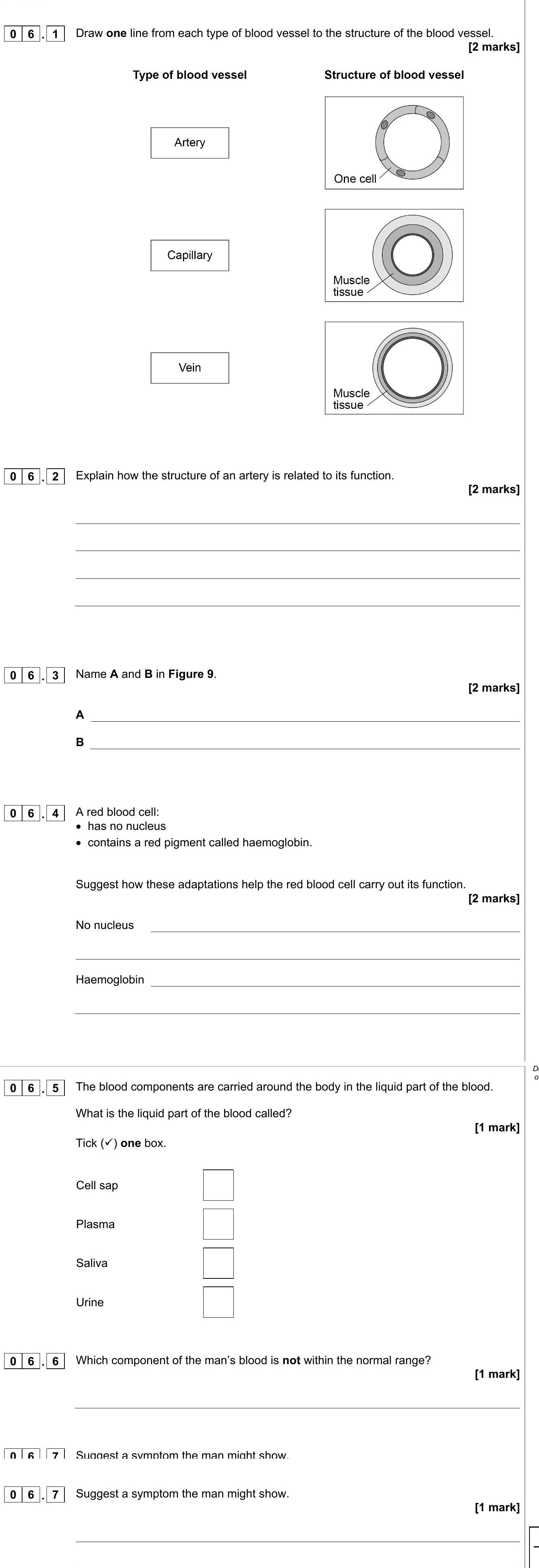 GCSE AQA Biology Organisation: The Cardiovascular & Respiratory System ...