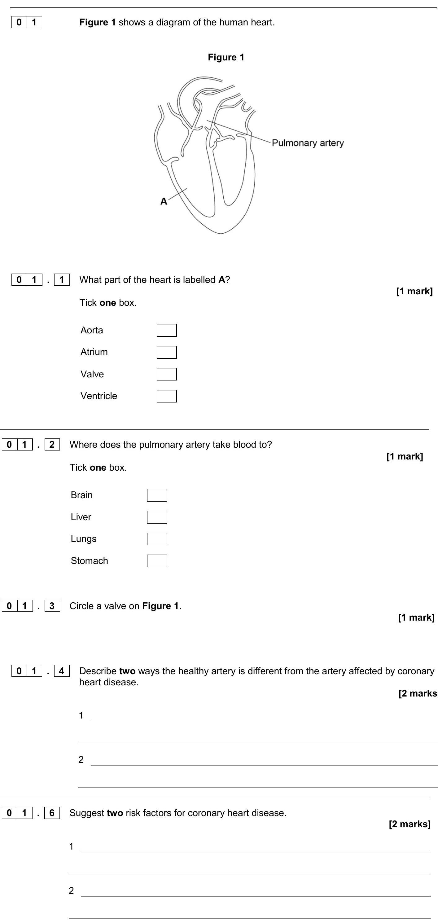 GCSE AQA Biology Organisation: The Cardiovascular & Respiratory System ...