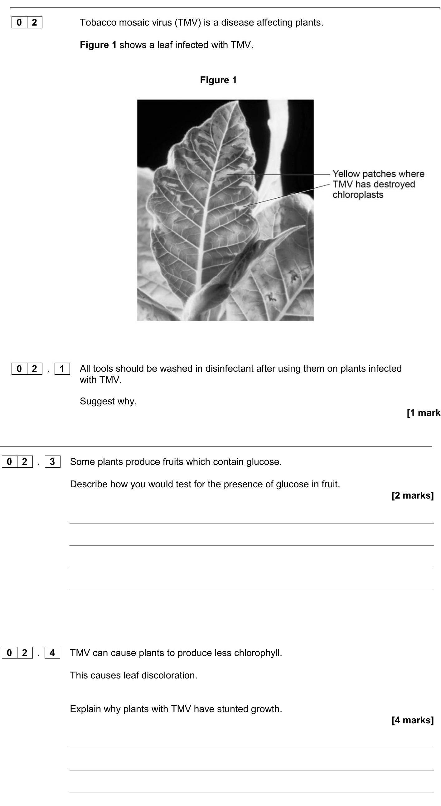 GCSE AQA Biology Plant Tissues, Organs & Systems: Tobacco mosaic virus ...