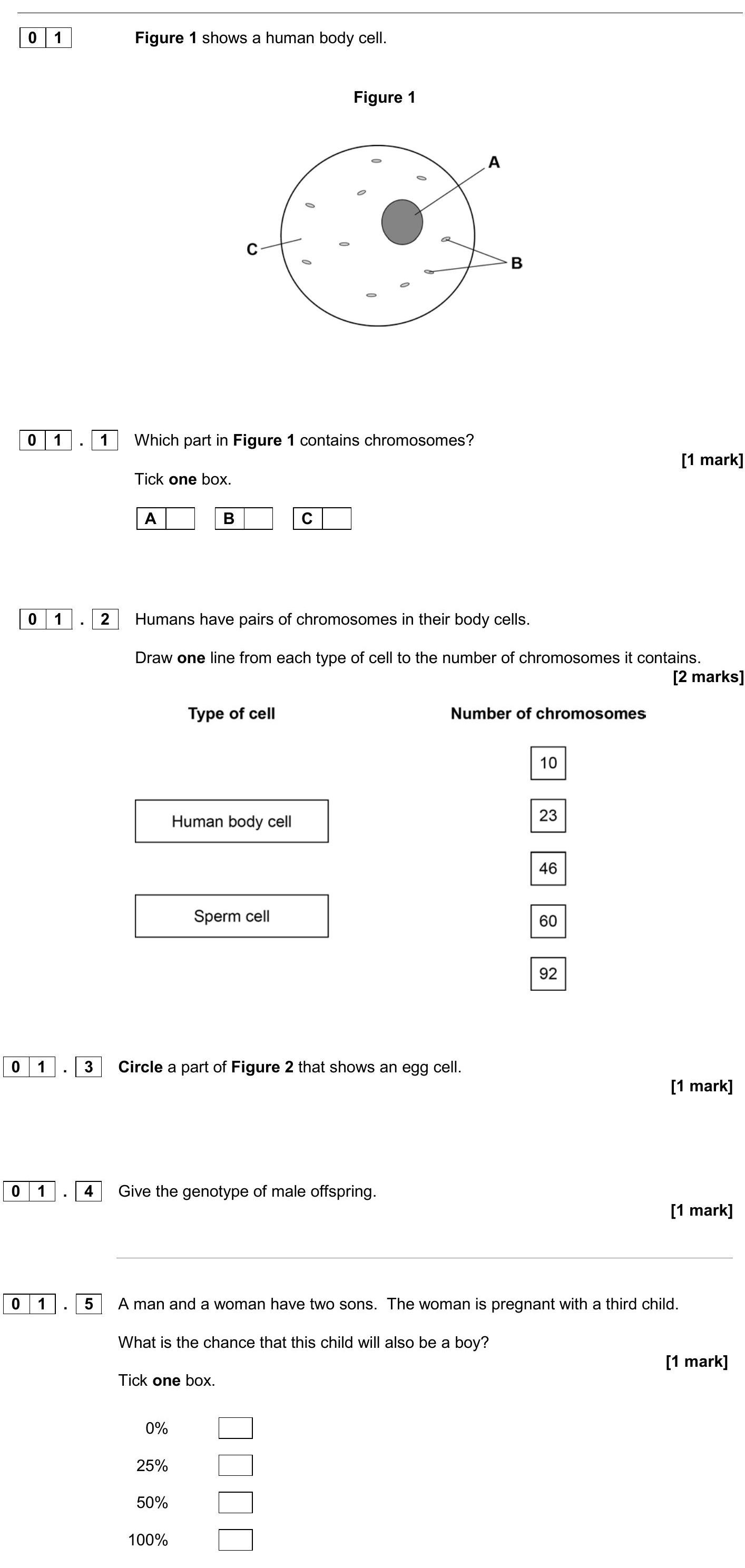 GCSE AQA Biology Cell Division: Figure 1 shows a human body cell