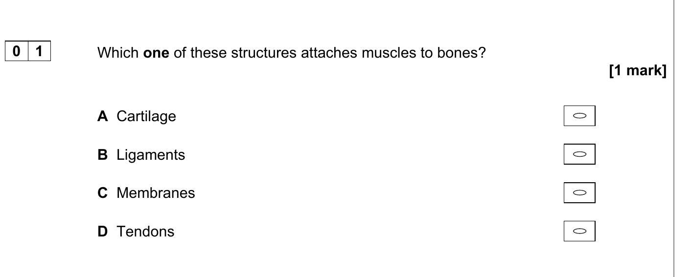 GCSE AQA Physical Education The Structure & Functions of the ...