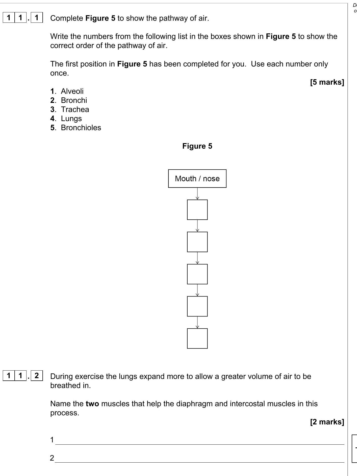 GCSE AQA Physical Education The Structure & Functions of the Cardio ...