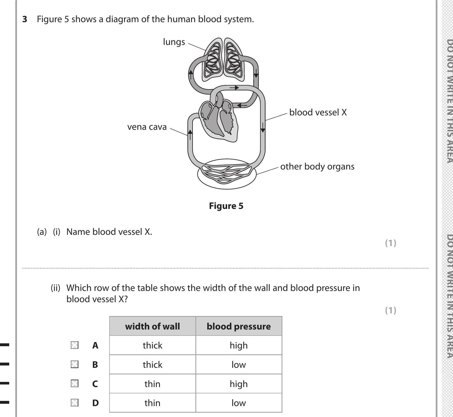 GCSE Edexcel Biology Circulatory system- blood vessels: Figure 5 shows a diagram of the