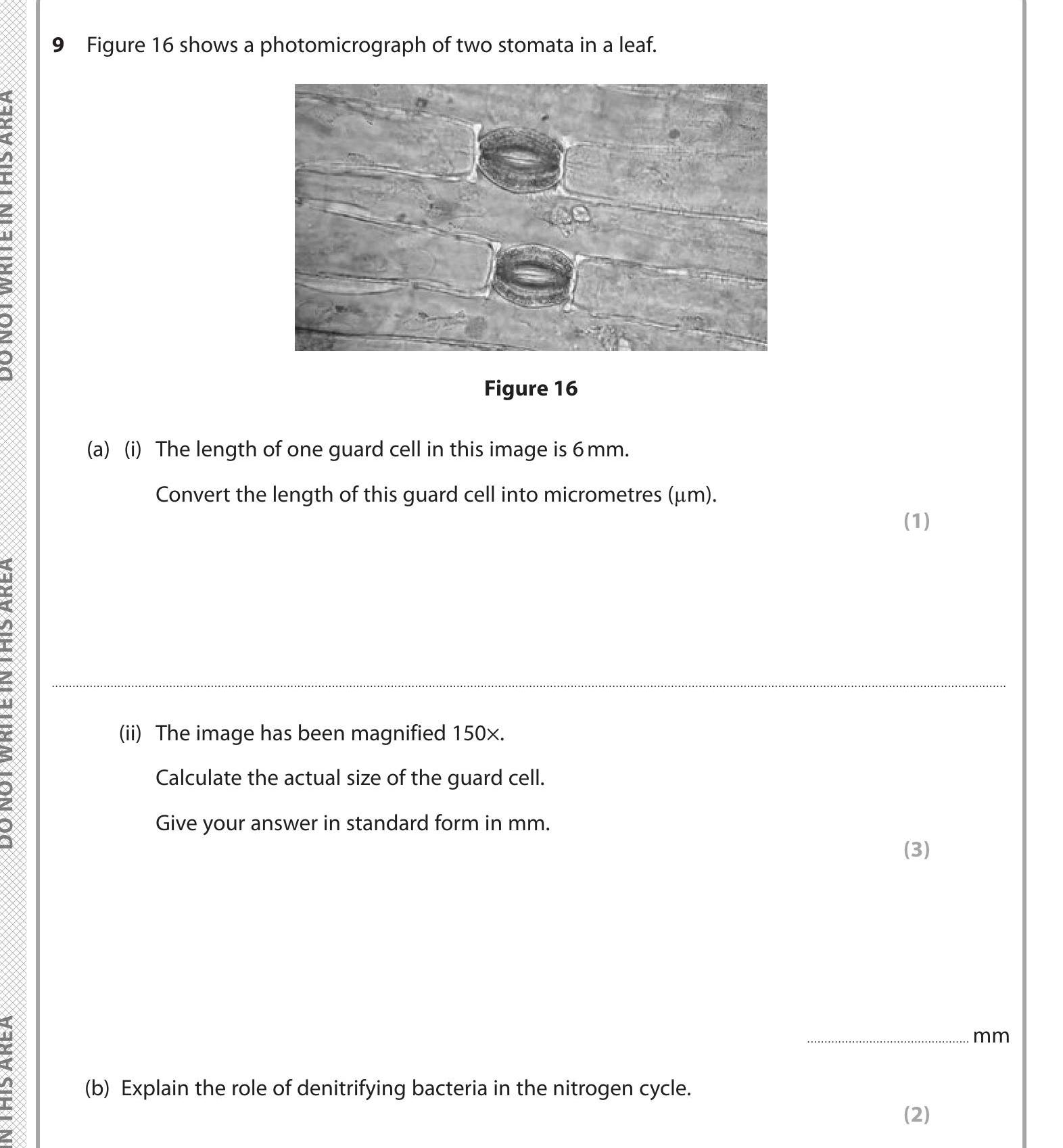 GCSE Edexcel Biology Magnification: Figure 16 shows a photomicrograp