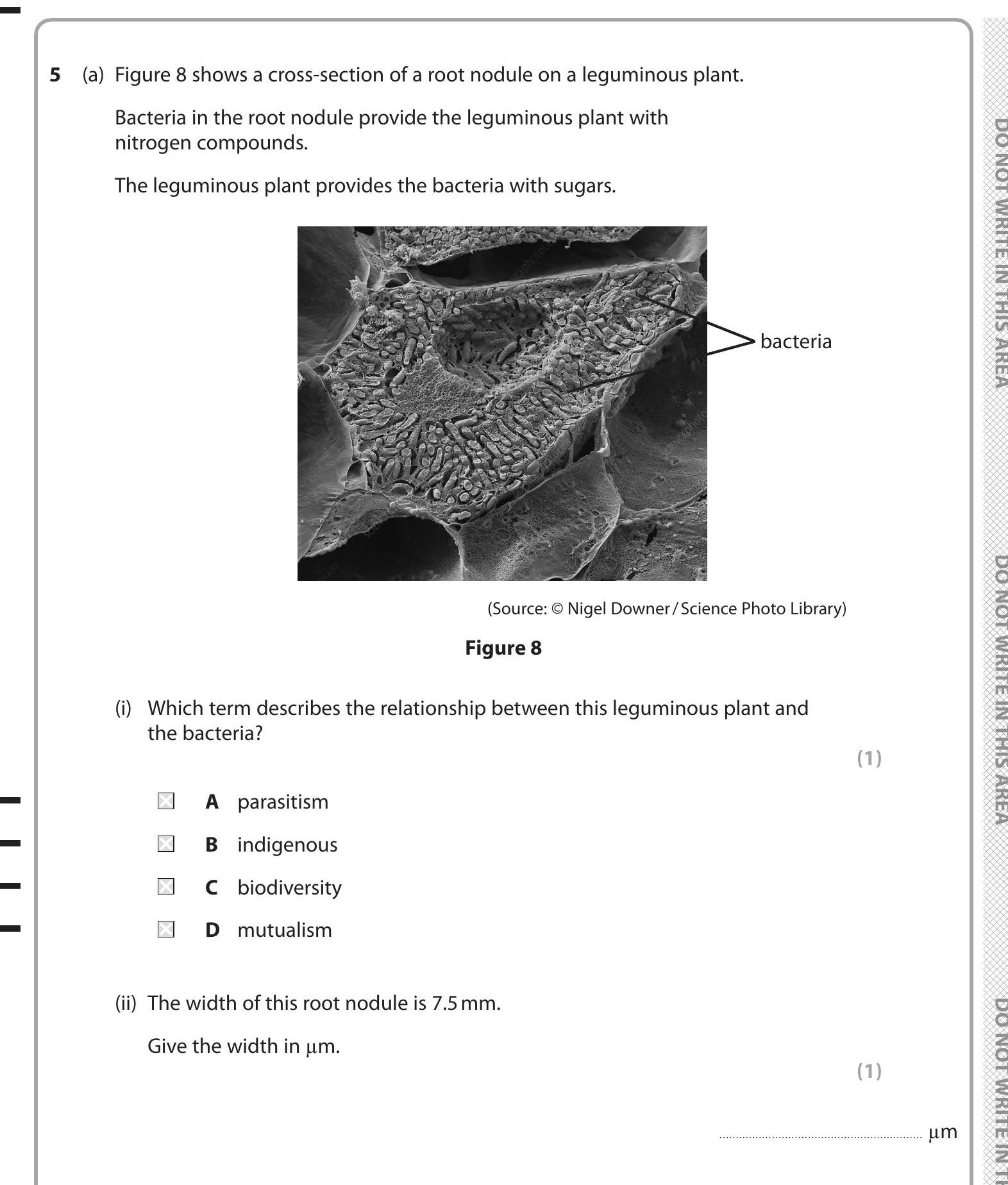GCSE Edexcel Biology Nitrogen cycle: Figure 8 shows a cross-section o